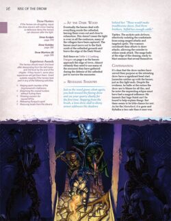 Rise of the Drow: Collector's Edition - AAW Games
