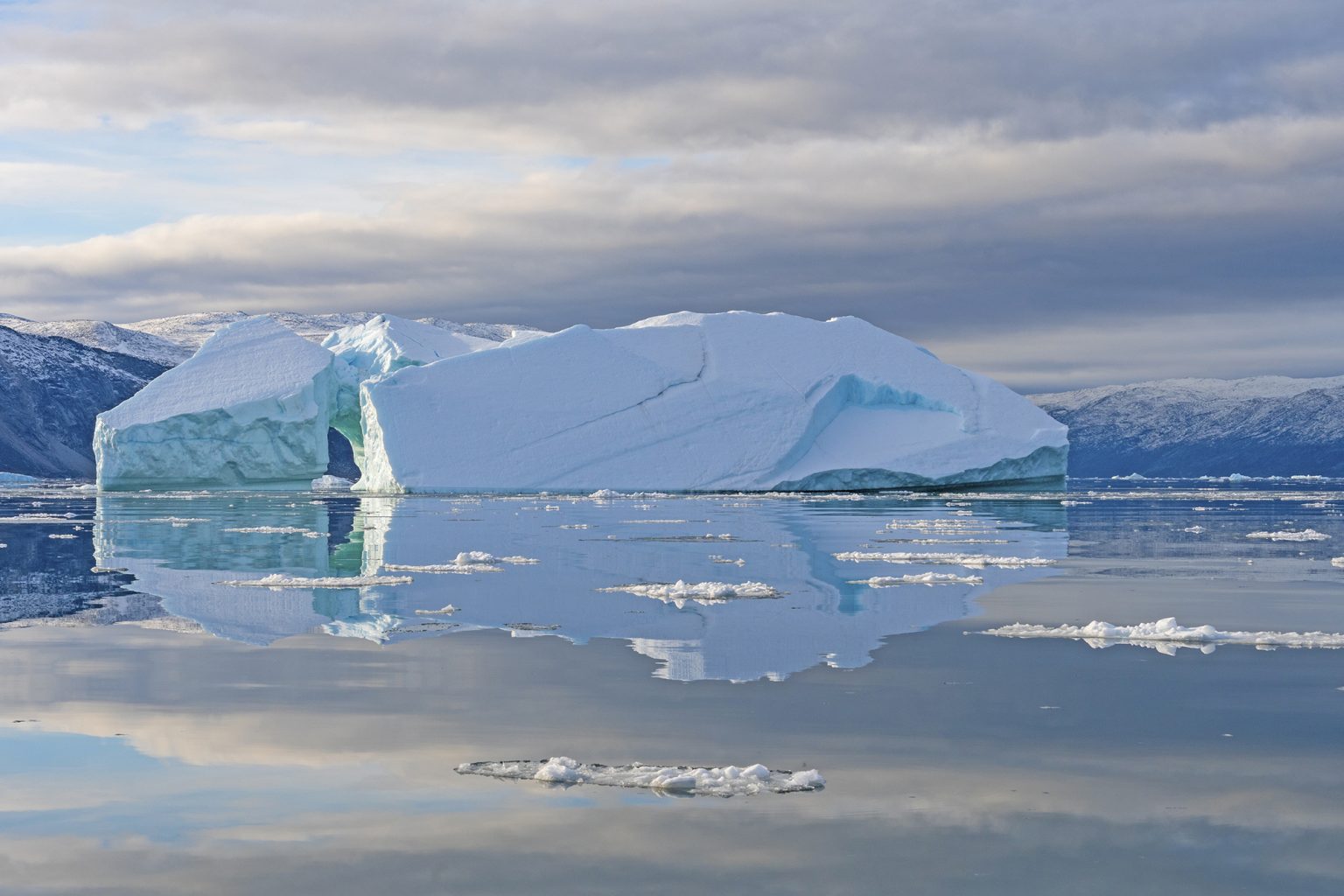 Discover the Ultimate d100 List for Arctic Encounters - AAW Games